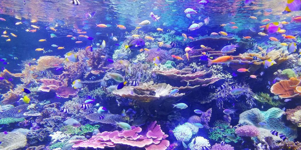 Oddities Submerged: Divers Share The Weirdest Things They Ever Found ...