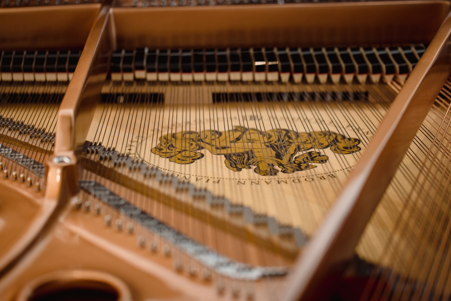 Cool Facts About Ancient Greece - RoughMaps