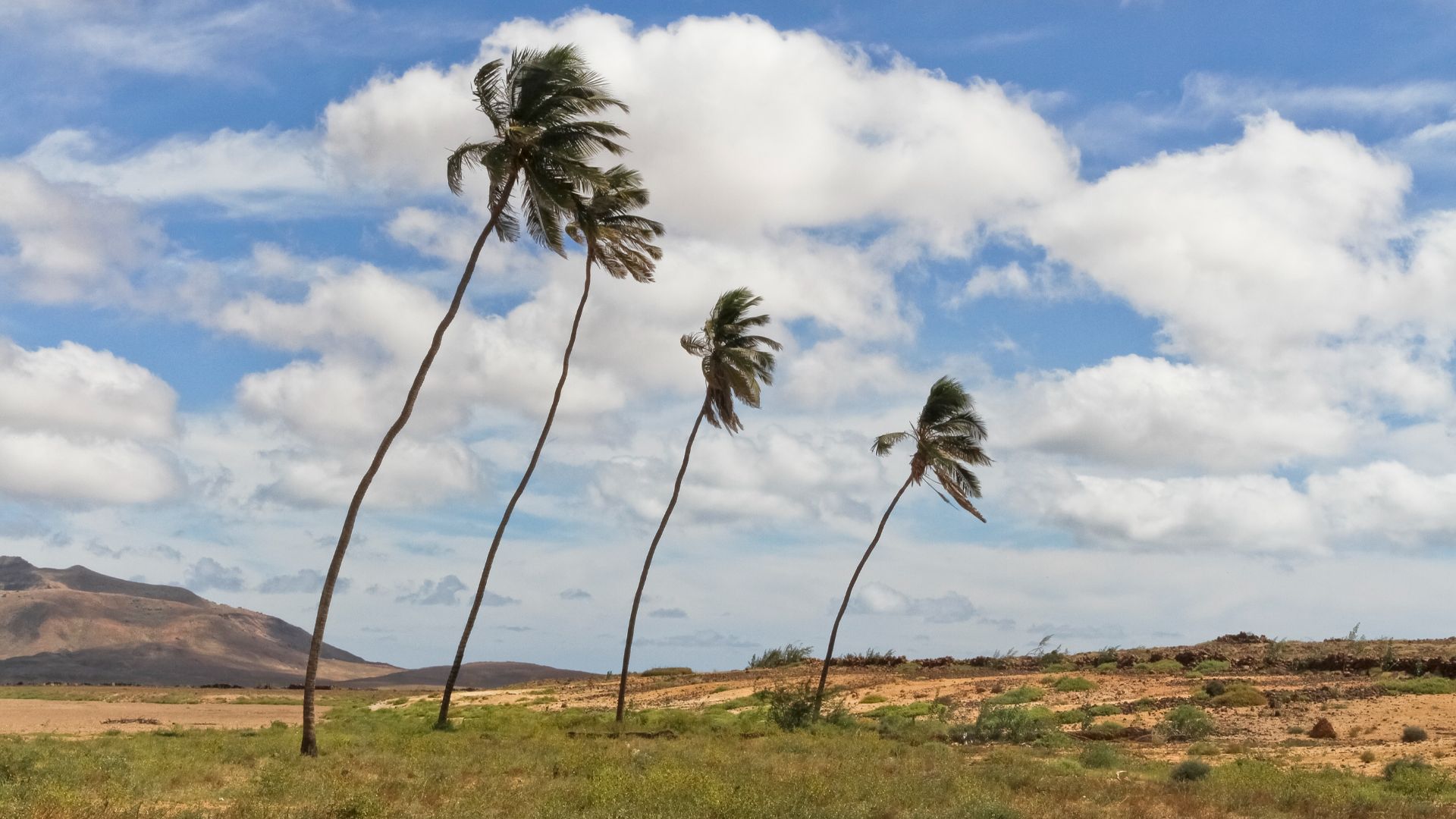 The Least Populated Countries In The World, Ranked - RoughMaps