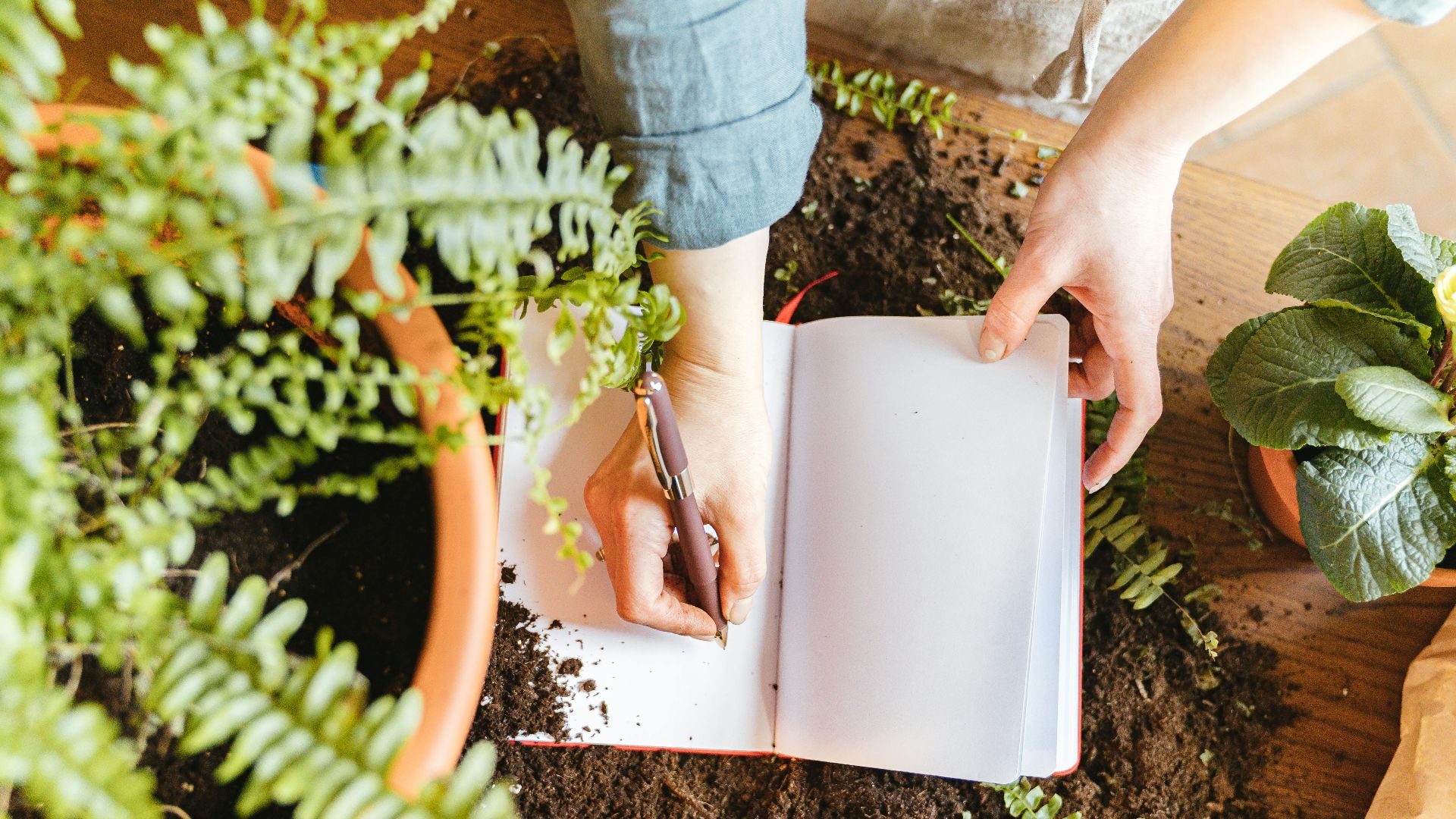 20 Unique Ways to Document Your Travel Experiences - RoughMaps