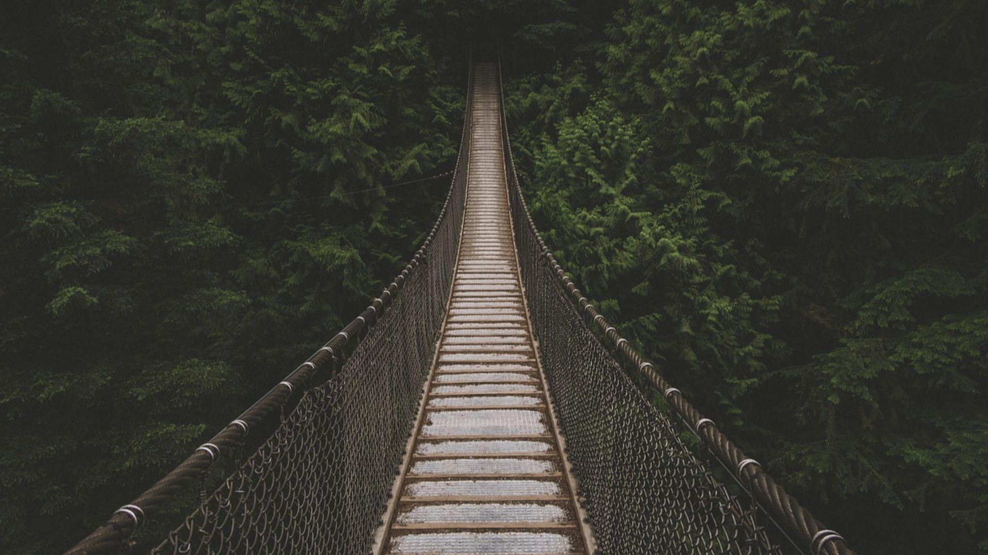 The 30 Coolest Bridges In The World - RoughMaps