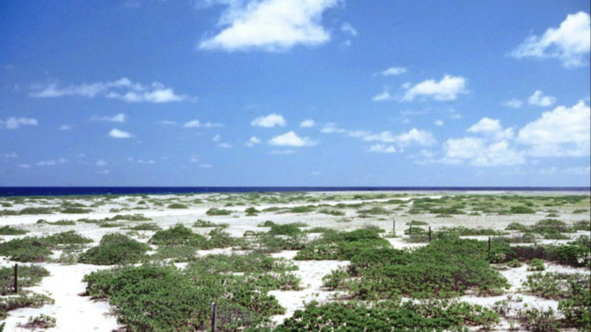 The 50 Most Remote Islands In The World - RoughMaps