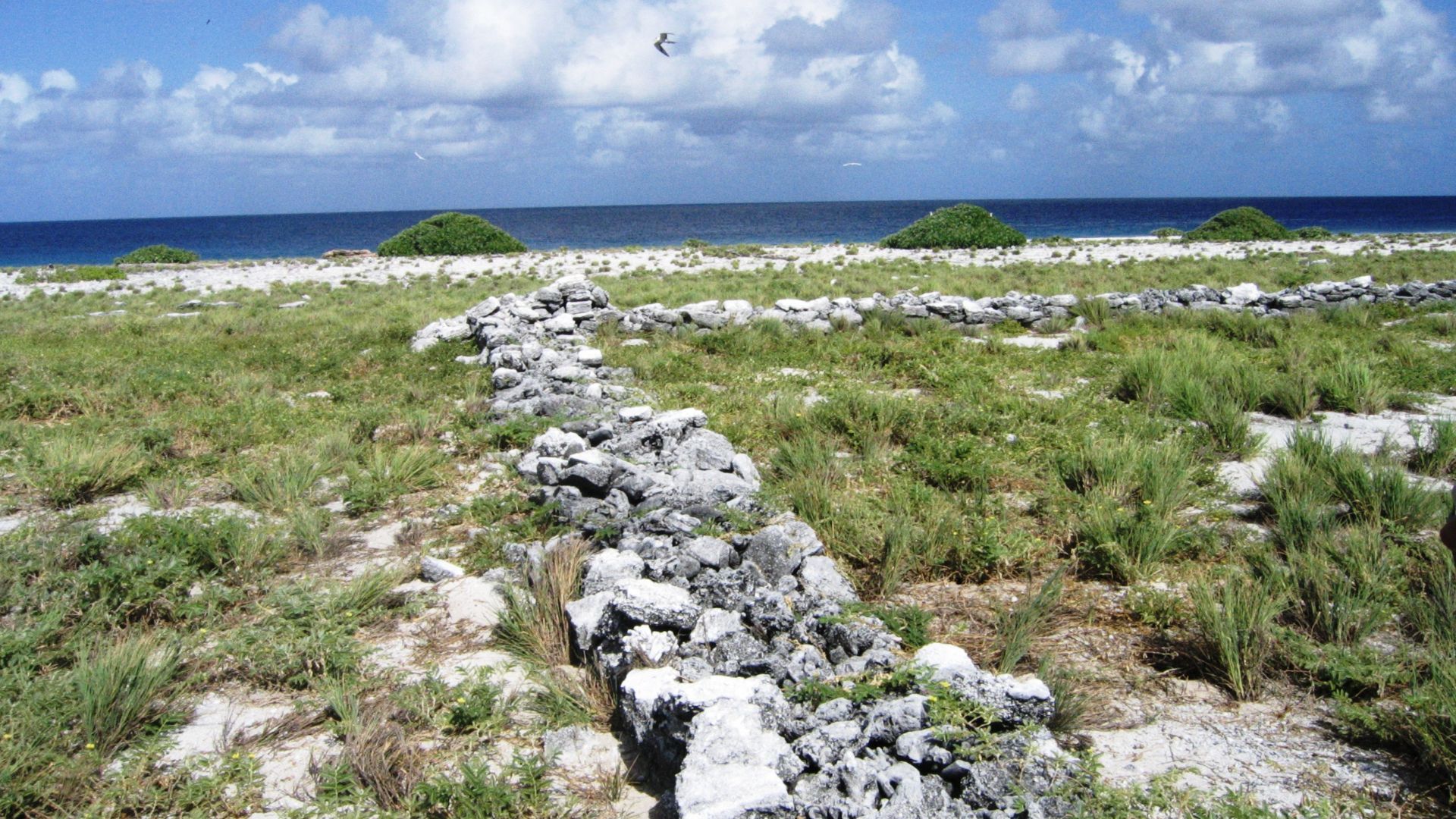 The 50 Most Remote Islands In The World - RoughMaps