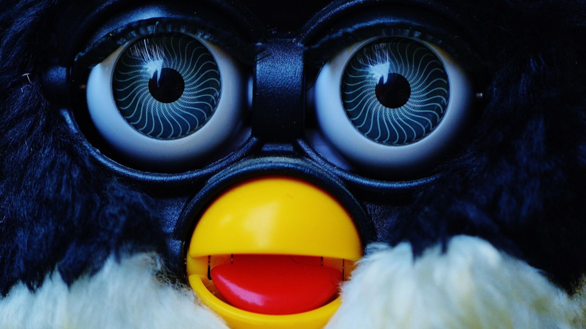 Forgotten Fads That Whole World Was Obsessed With - RoughMaps