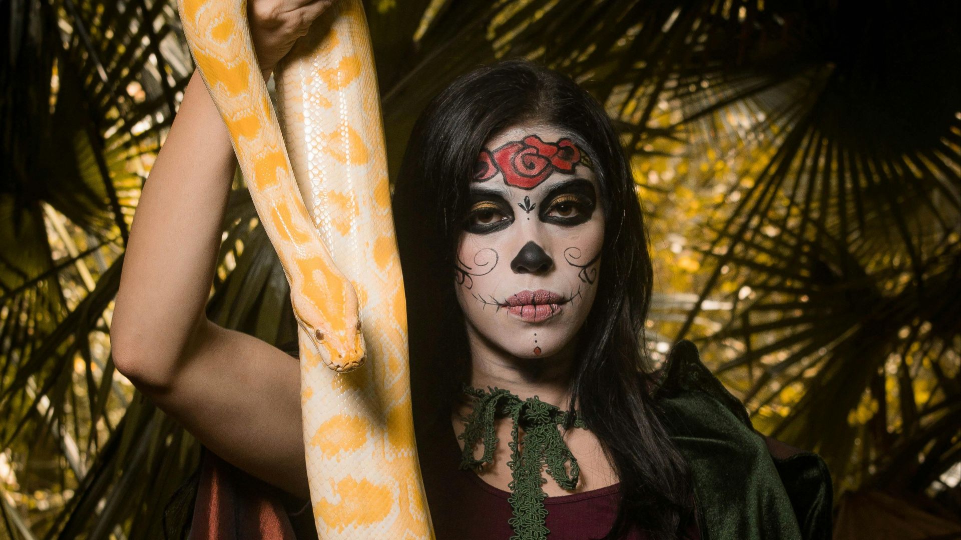 The Year Of The Snake: What The Serpent Symbolizes Around The World ...