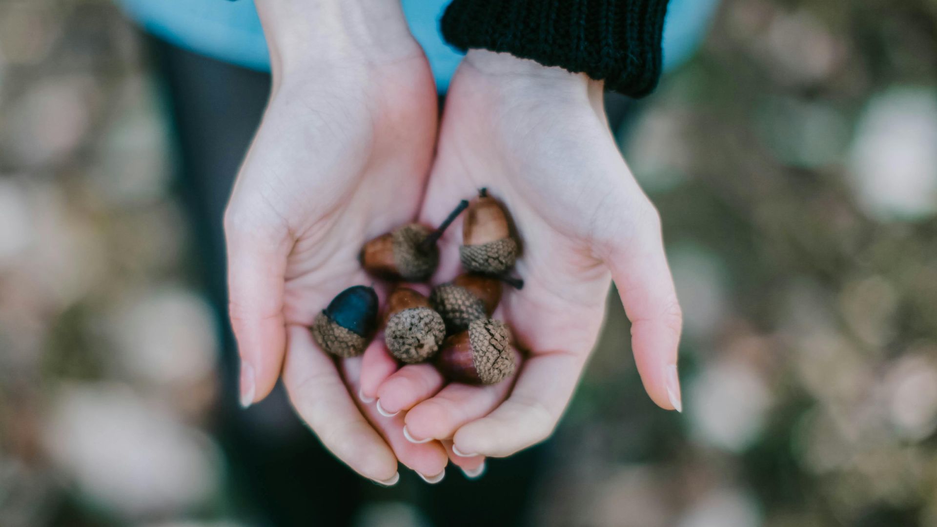 Lucky Charms: 20 Things Around The World That'll Bring You Good Fortune ...