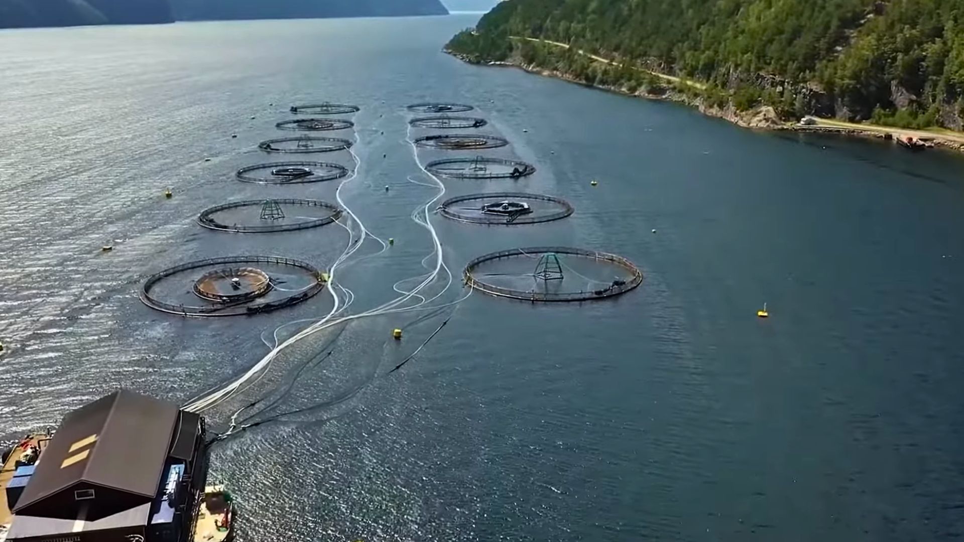 10 Countries Where Being Vegan Is Impossible & 10 Where It's A Breeze ...