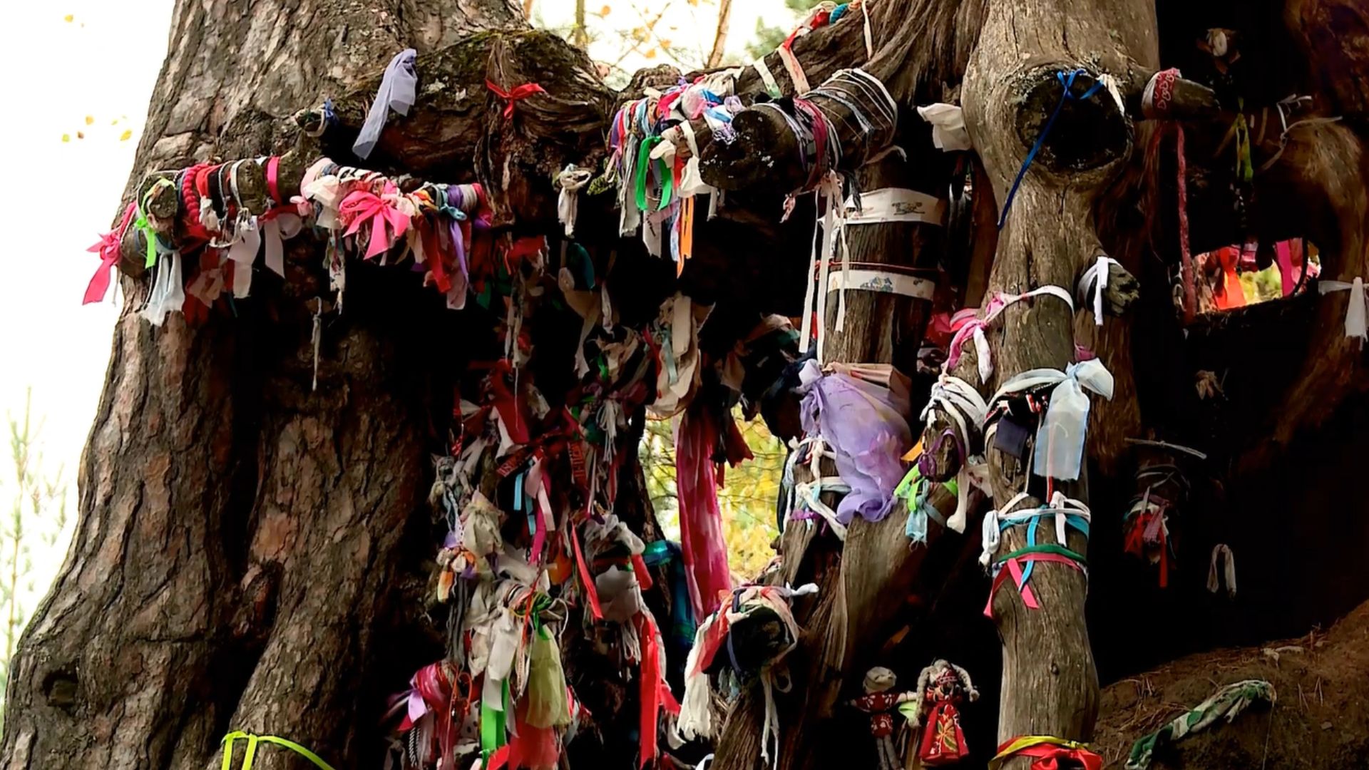 The 20 Strangest Wedding Traditions From Around The World - RoughMaps