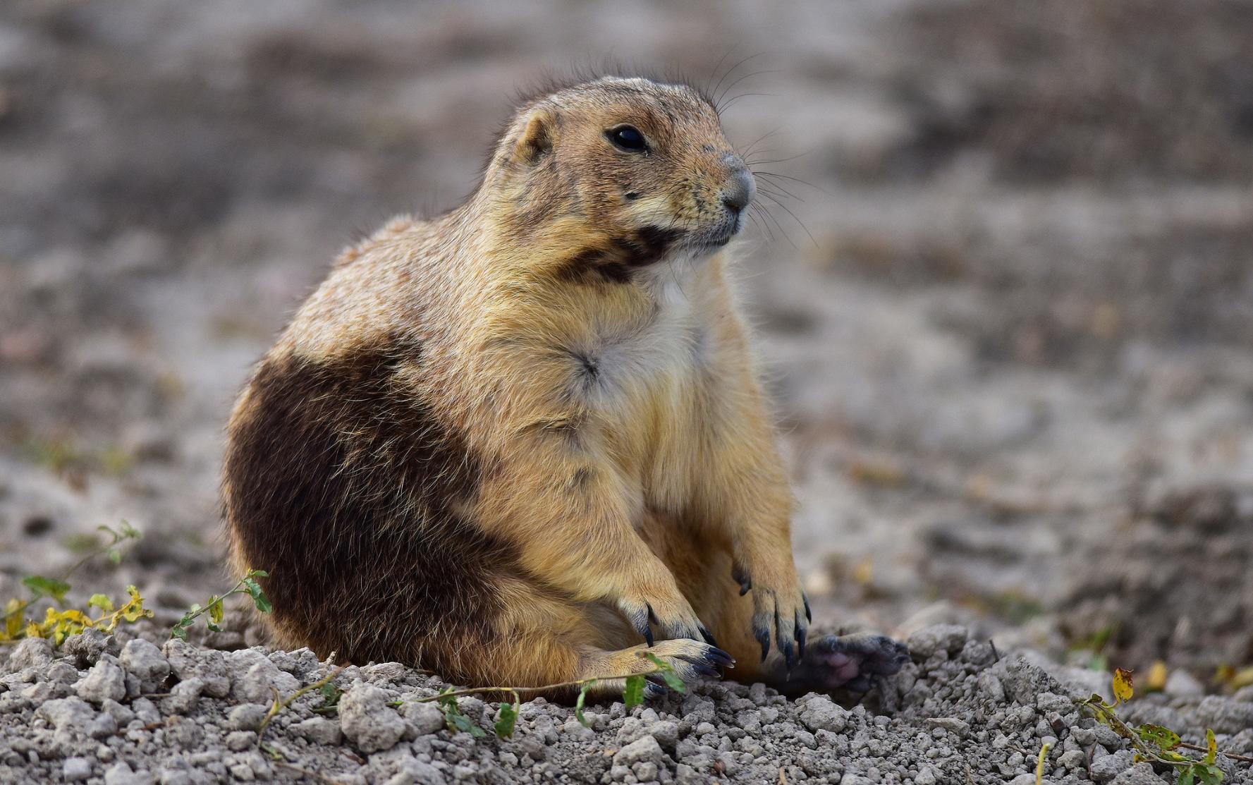 People From Around The World Share Their Intense Encounters With Wild ...